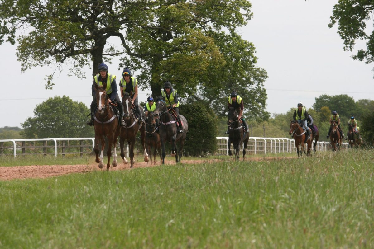 Ian Williams - Hicky Parmar Racing